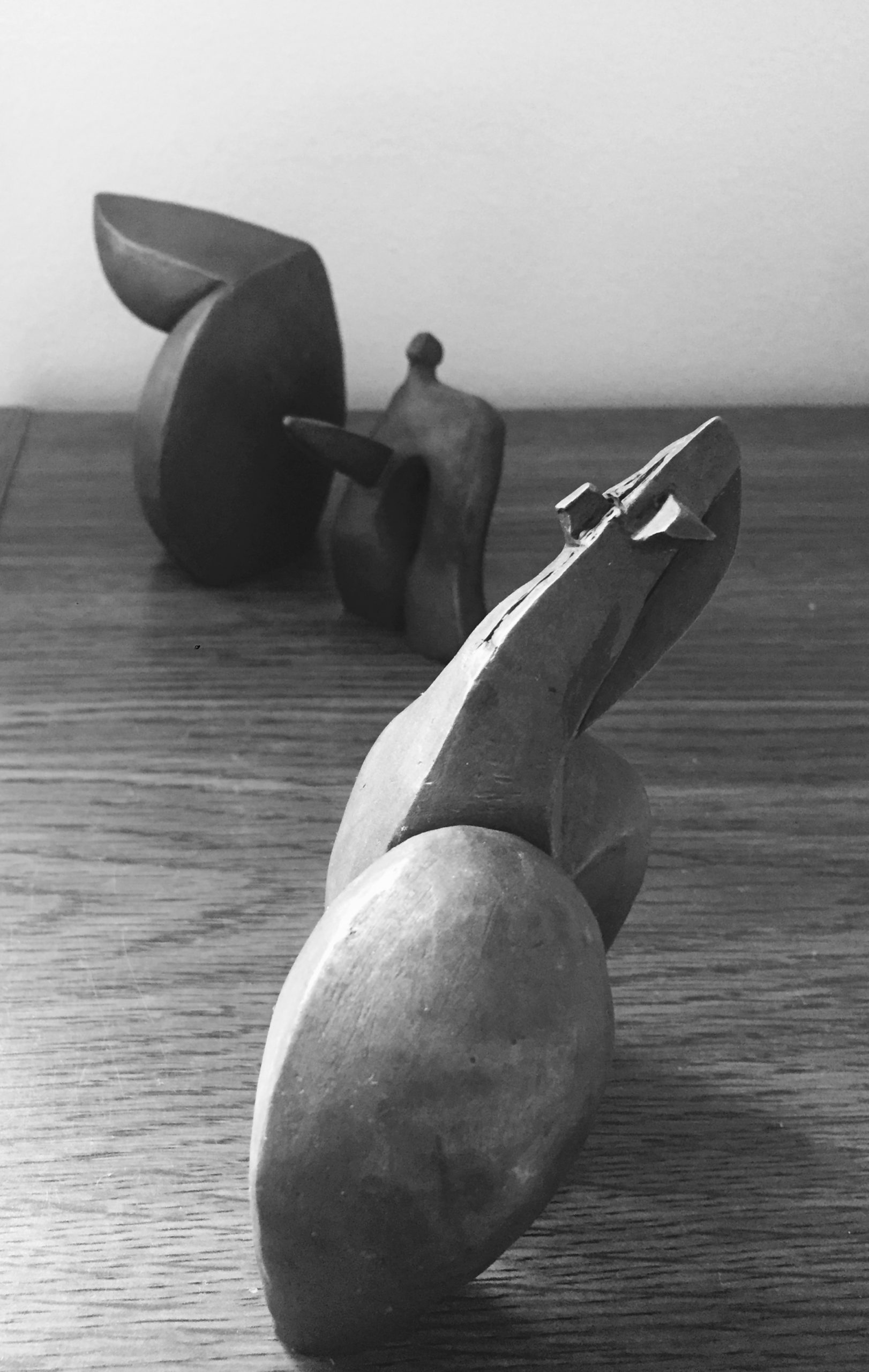 Sculptures | cecilia campeas